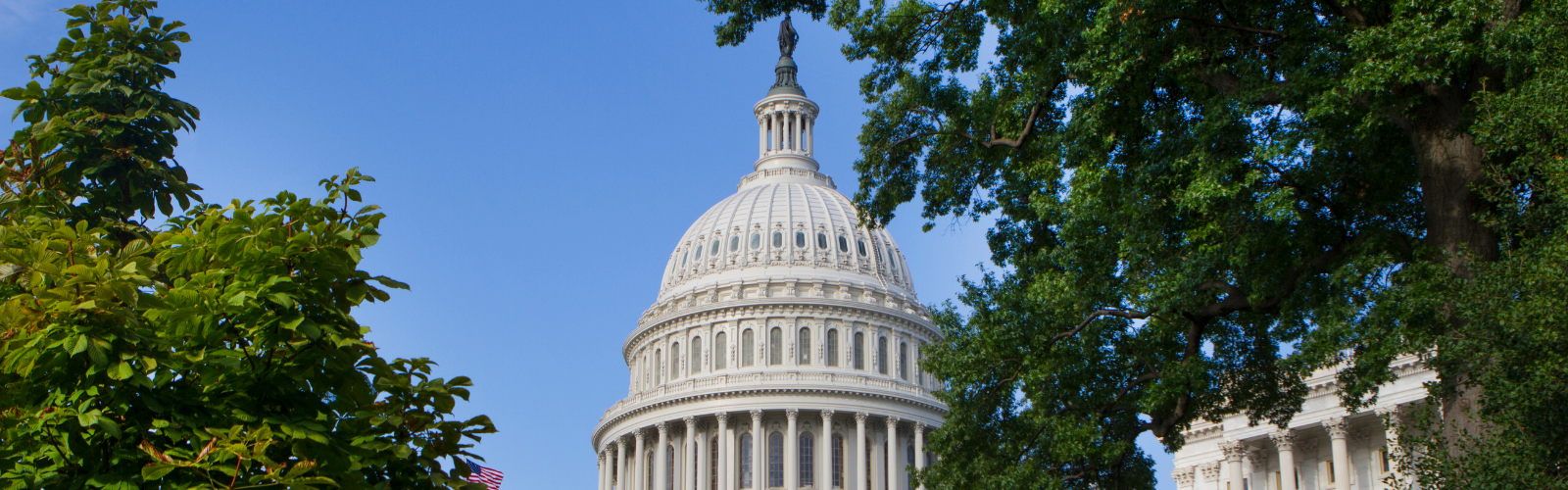 About - Missy Edwards Strategies